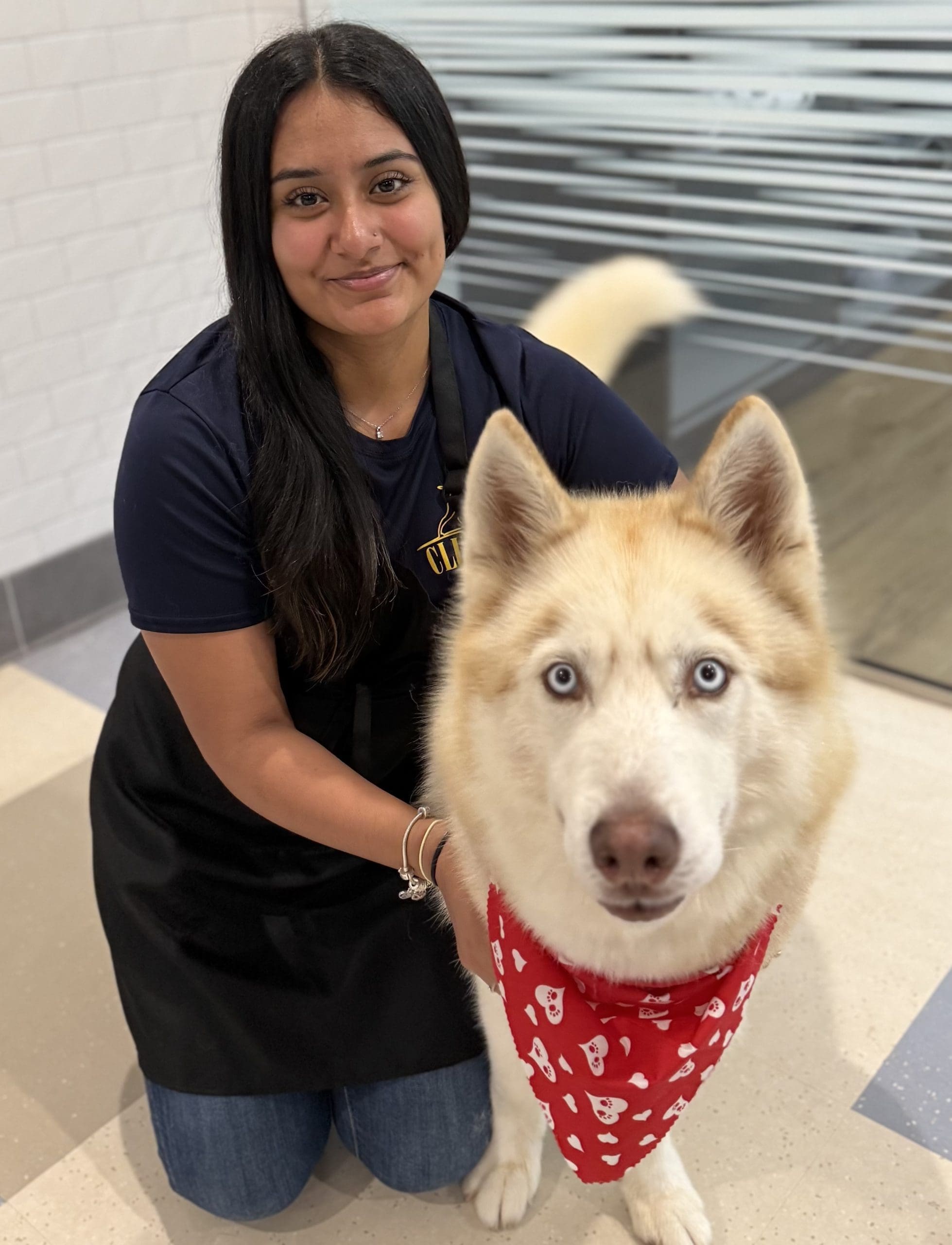 Dog Grooming in Northern Virginia | Club-K9